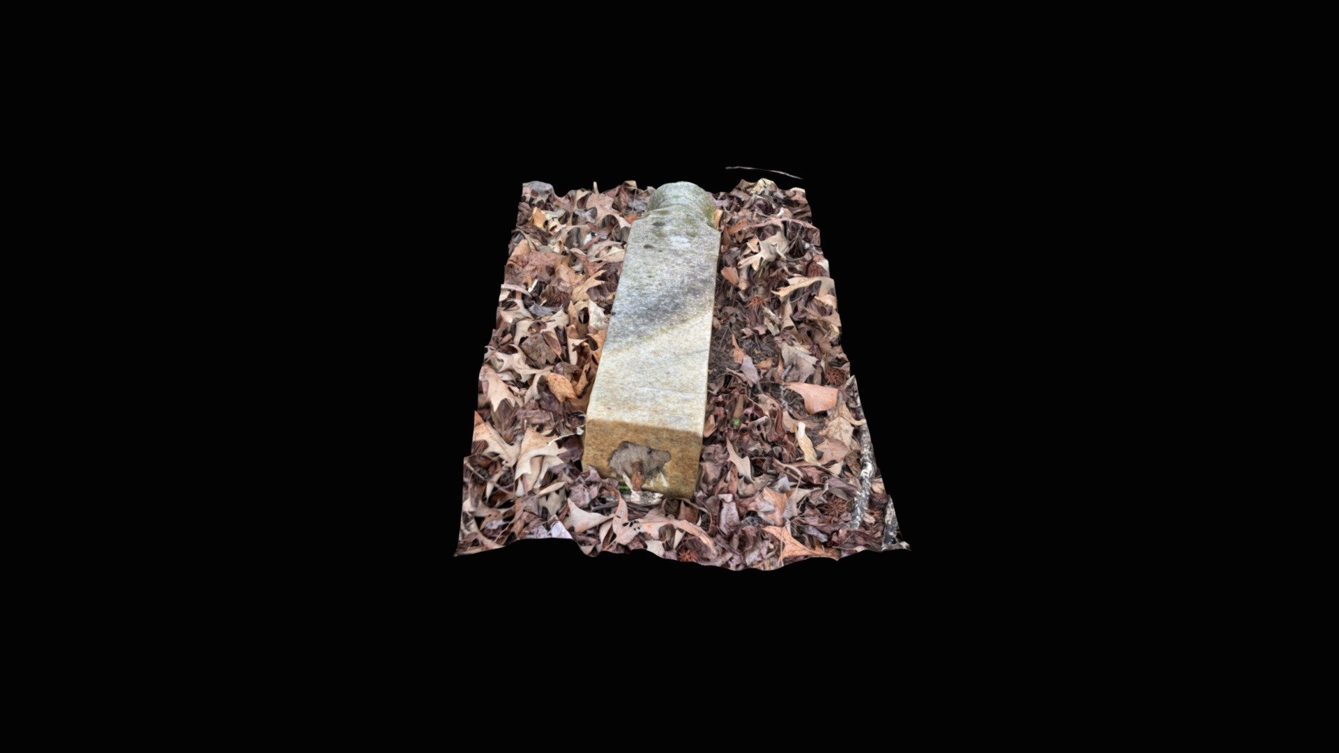 Lizzie Cilpin Bied Grave Marker - Download Free 3D model by Virtual ...