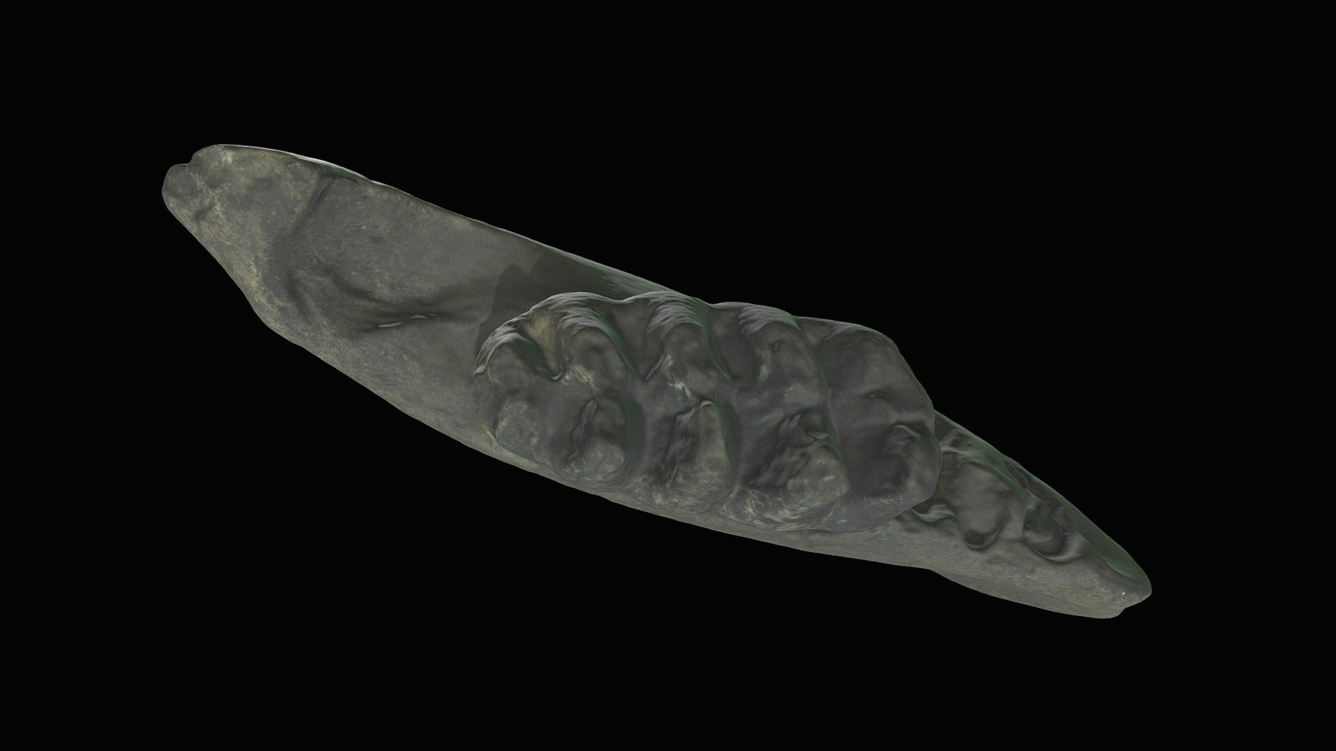 Mastodon jaw. Blue Lick State Park, KY - Download Free 3D model by ETSU ...