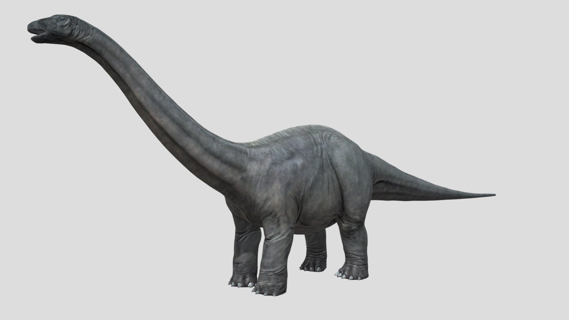 Apatosaurus - Download Free 3D model by toro ardido modelos 3d (@toro_ardido_modelos_3d ...