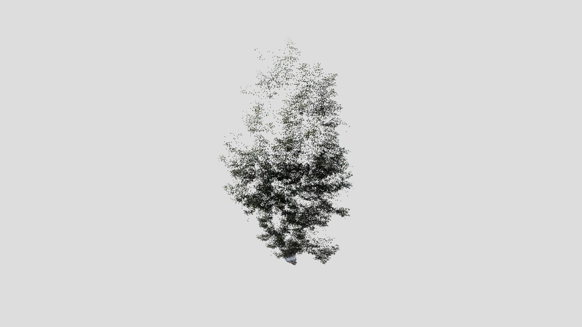 tree12-pointcloud - 3D model by Nodai_Kunii_Lab (@mmsroadsidetree) [fecc998] - Sketchfab