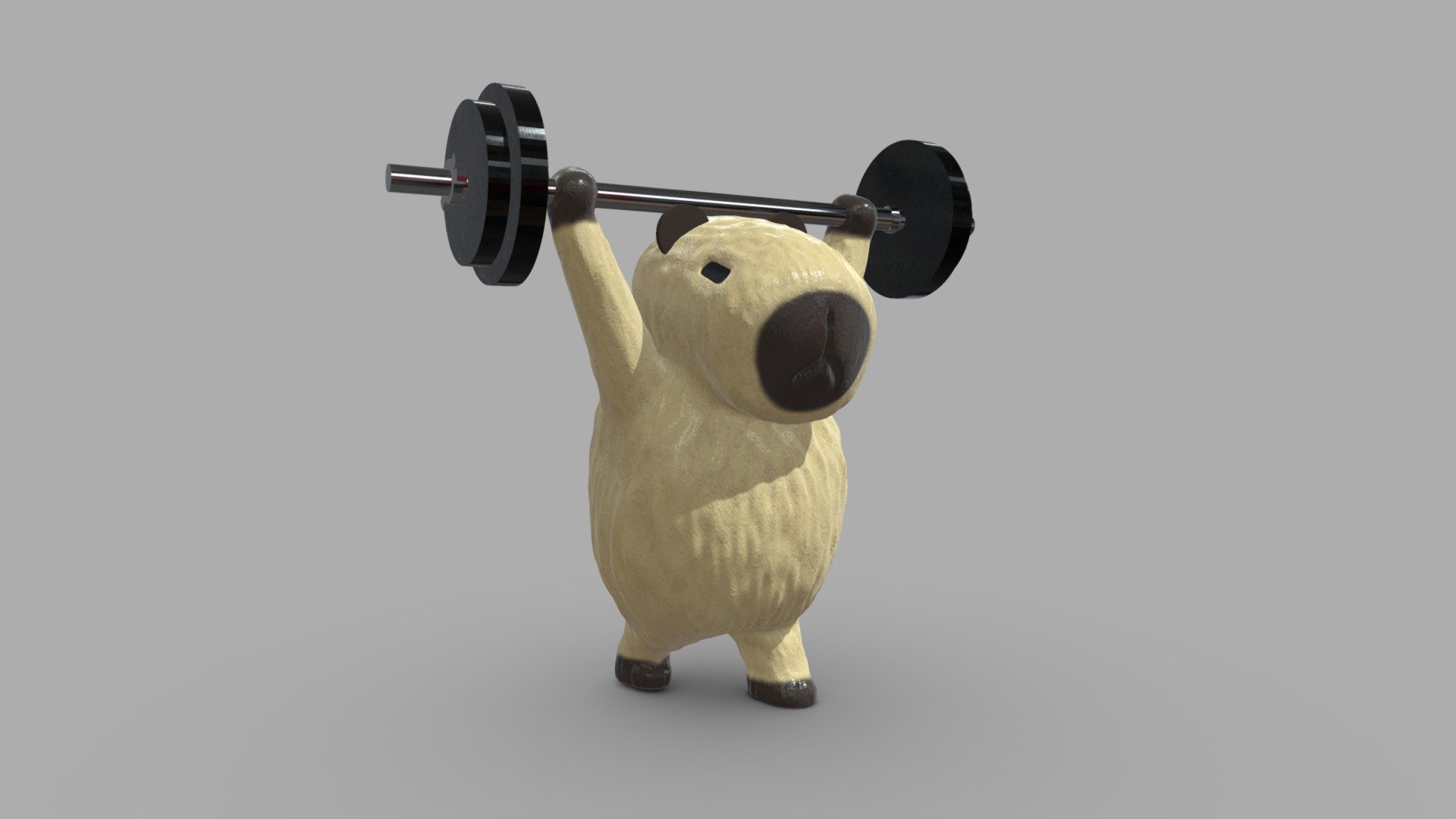 Capybara - Gym - 3D model by dg samples (@dgsamples) [fed6232] - Sketchfab
