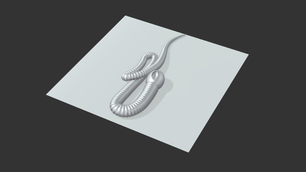 201709 Worm - 3D model by catfyn [fed66a1] - Sketchfab