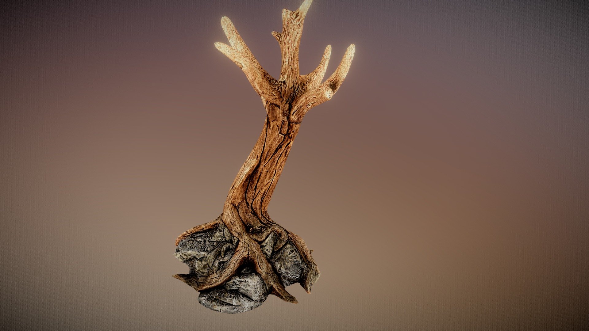 Tree 3 - 3D model by Phlox (@Phloxie) [feda22d] - Sketchfab