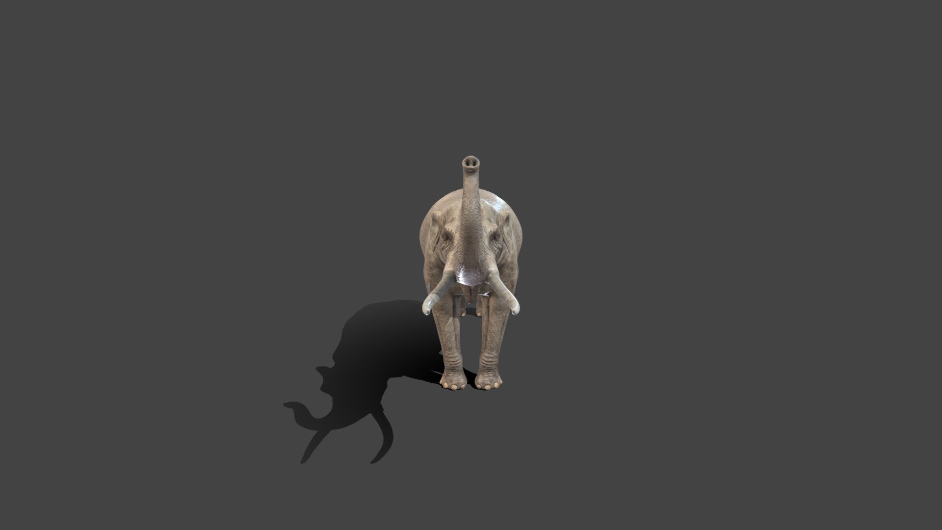Sinomastodon - 3D model by anthodon [fee01b5] - Sketchfab