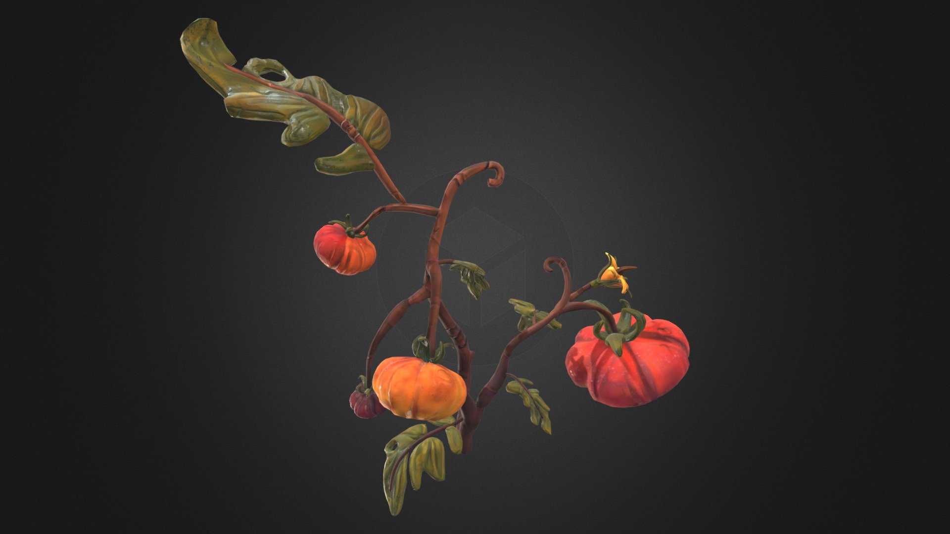 TOMATO PLANT (simple movement) - 3D model by Carolina Bertorello ...