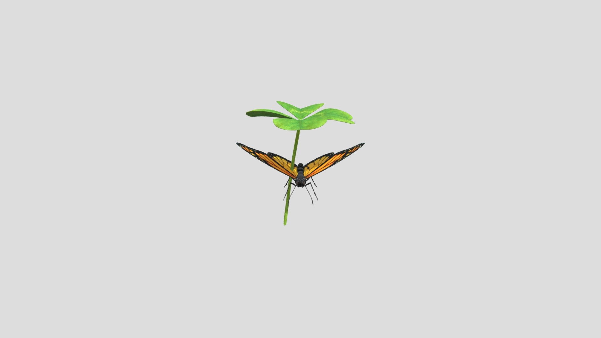 kupu - 3D model by dwicahyani [feef52e] - Sketchfab