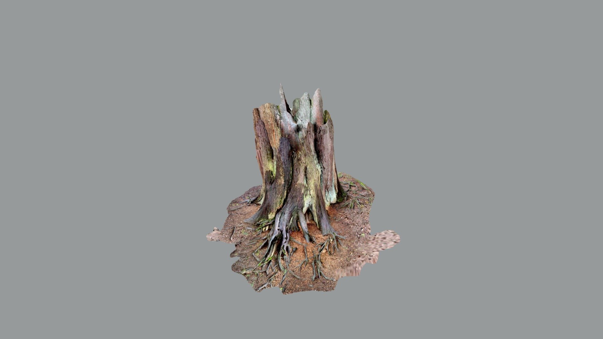 A very strange tree - Download Free 3D model by danger_dad [fef133a ...