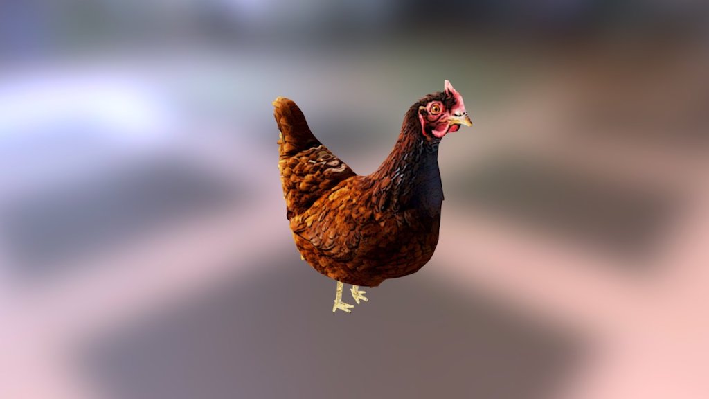 chicken - Download Free 3D model by polyplant3d [fef7c19] - Sketchfab