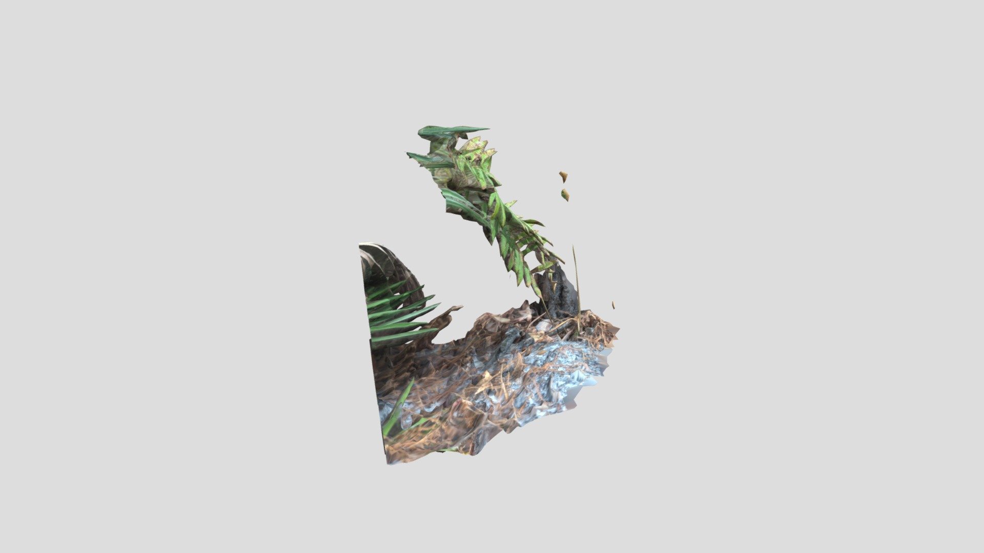 Ferntastic - Download Free 3D model by ksinlists [fef7f7b] - Sketchfab