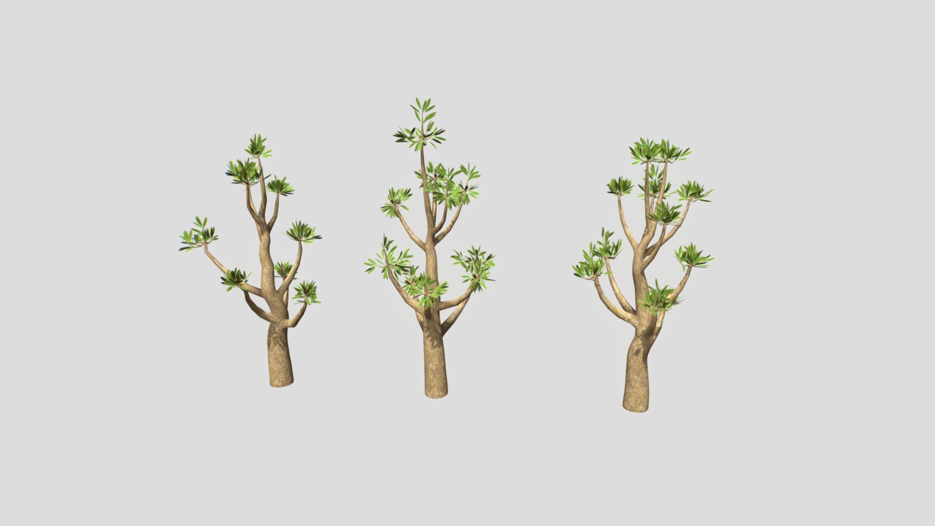 Sahara Desert Trees - Download Free 3D model by SDR_Project (@m.r ...