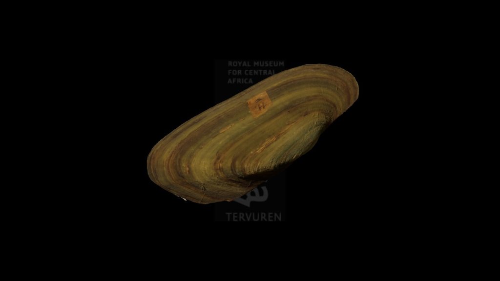 Iridina nilotica a - 3D model by Royal Museum for Central Africa ...