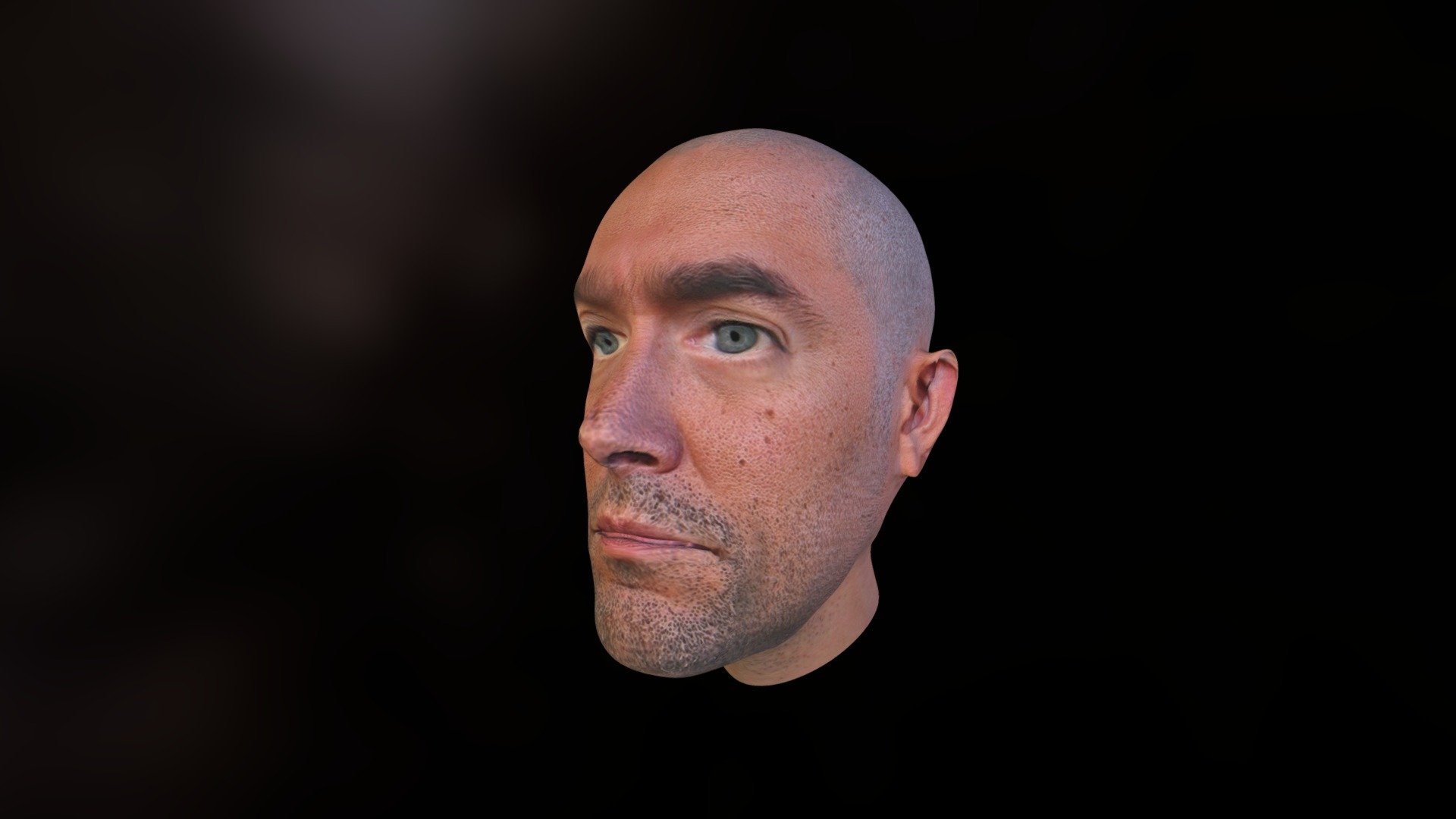 self portrait - 3D model by pedrolara [ff12e93] - Sketchfab
