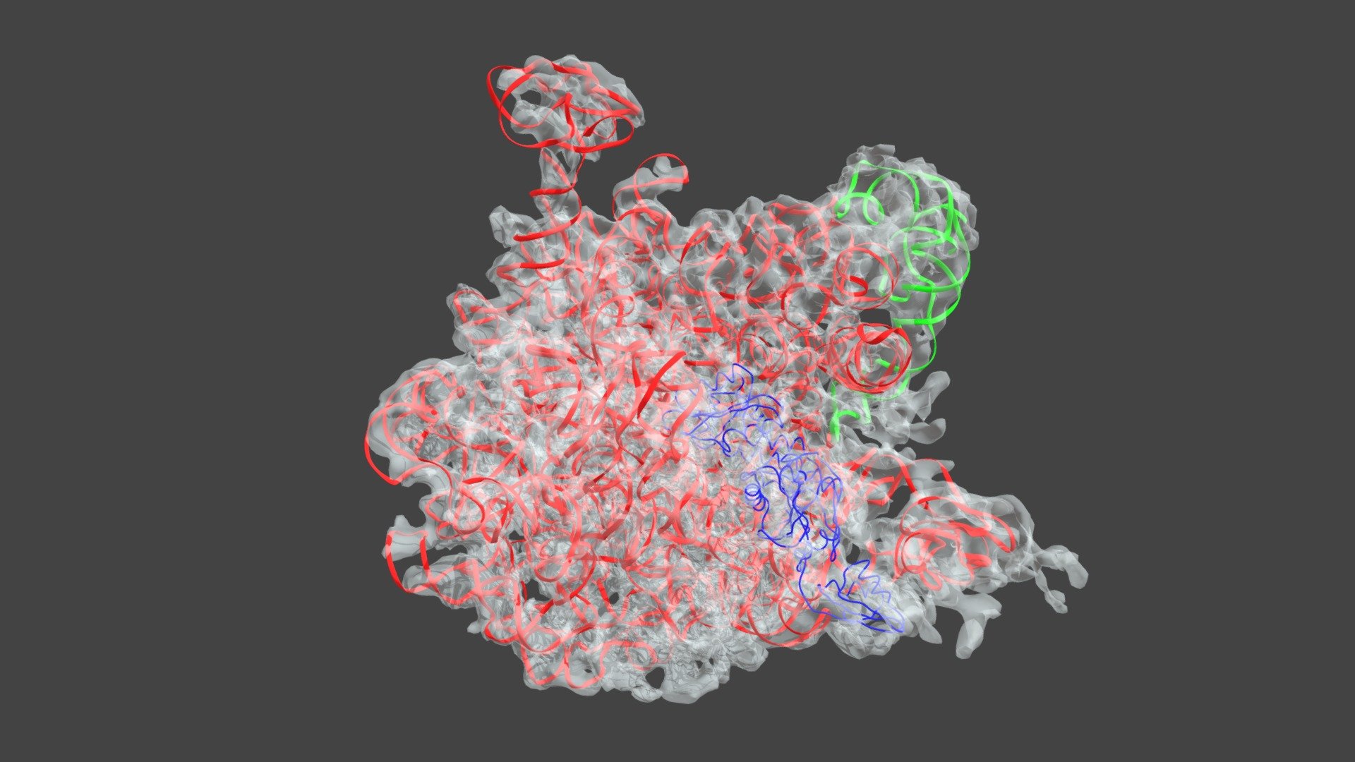 EMDB › EMD-6979 - 3D model by Interactive 3D Data (@proteinsimulation ...