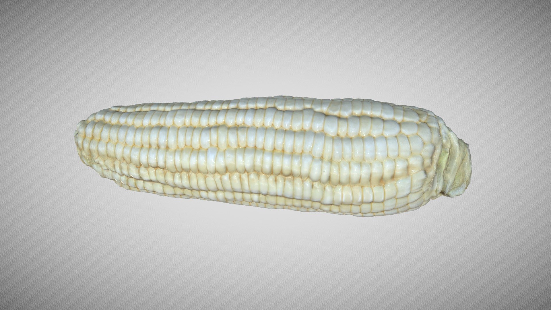 Corn 3D Scan Photogrammetry - Buy Royalty Free 3D model by Sky Tesi ...