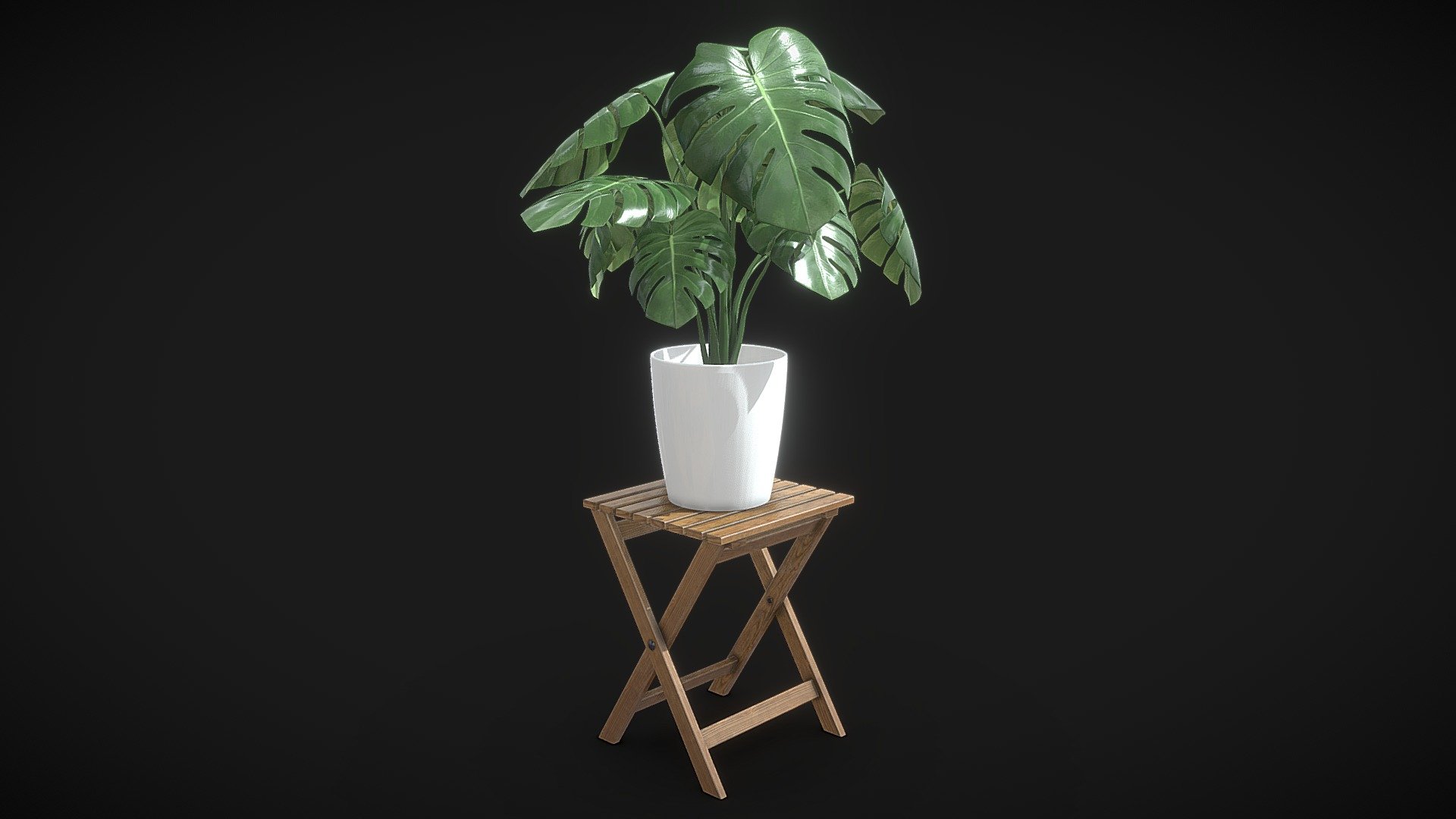 Monstera Plant - 3D model by Fusemesh [ff2f224] - Sketchfab