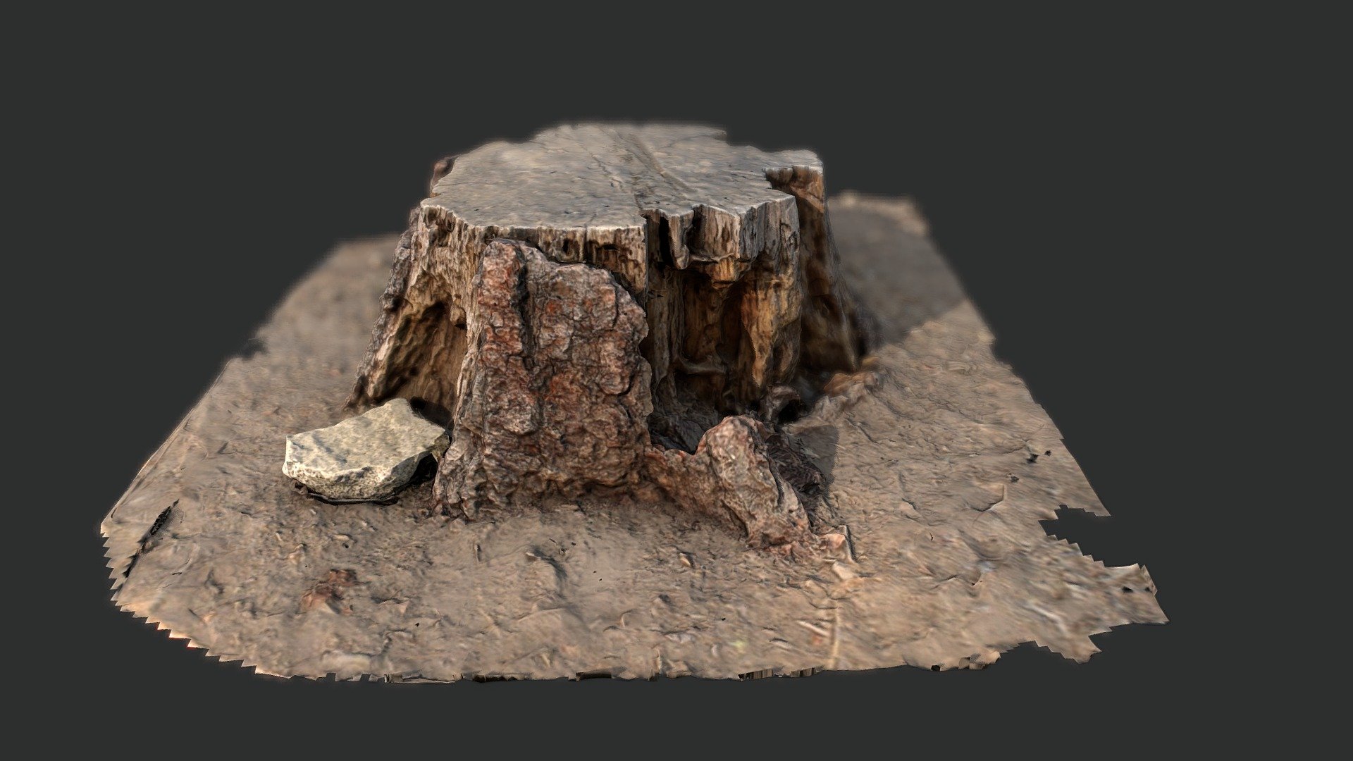 Tree Stump - 3D model by a.kentie [ff3108d] - Sketchfab