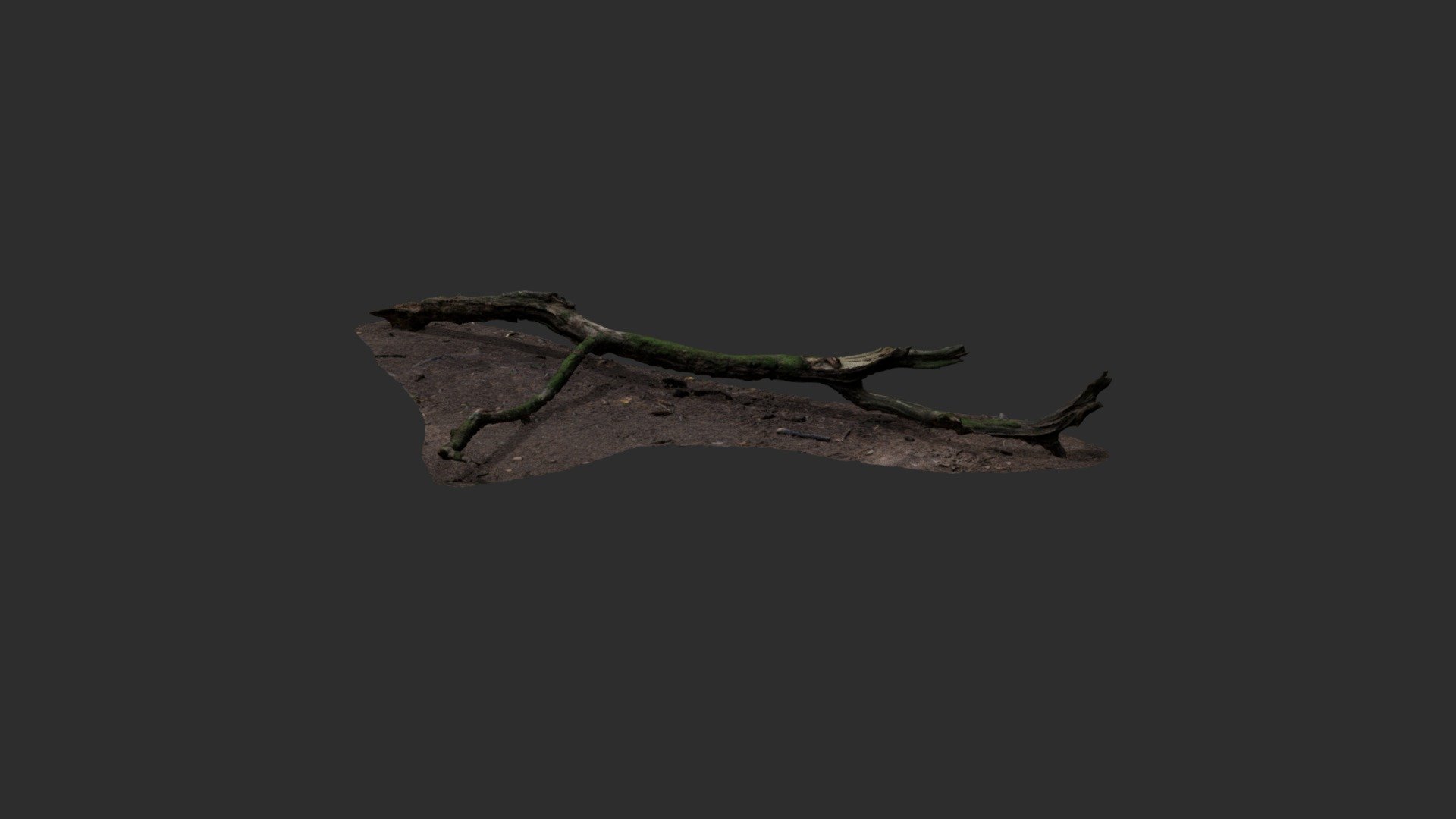 Branch_01 - Download Free 3D model by Penta Project (@Pentaproject ...