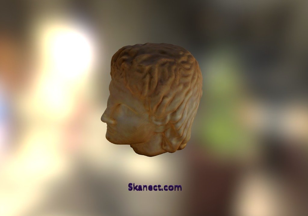 Alexander Head - 3D model by hayden.ball [ff379e9] - Sketchfab