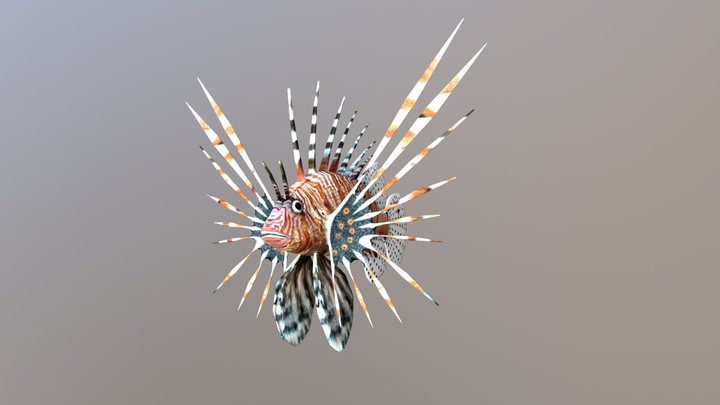 Lionfish 3D models - Sketchfab