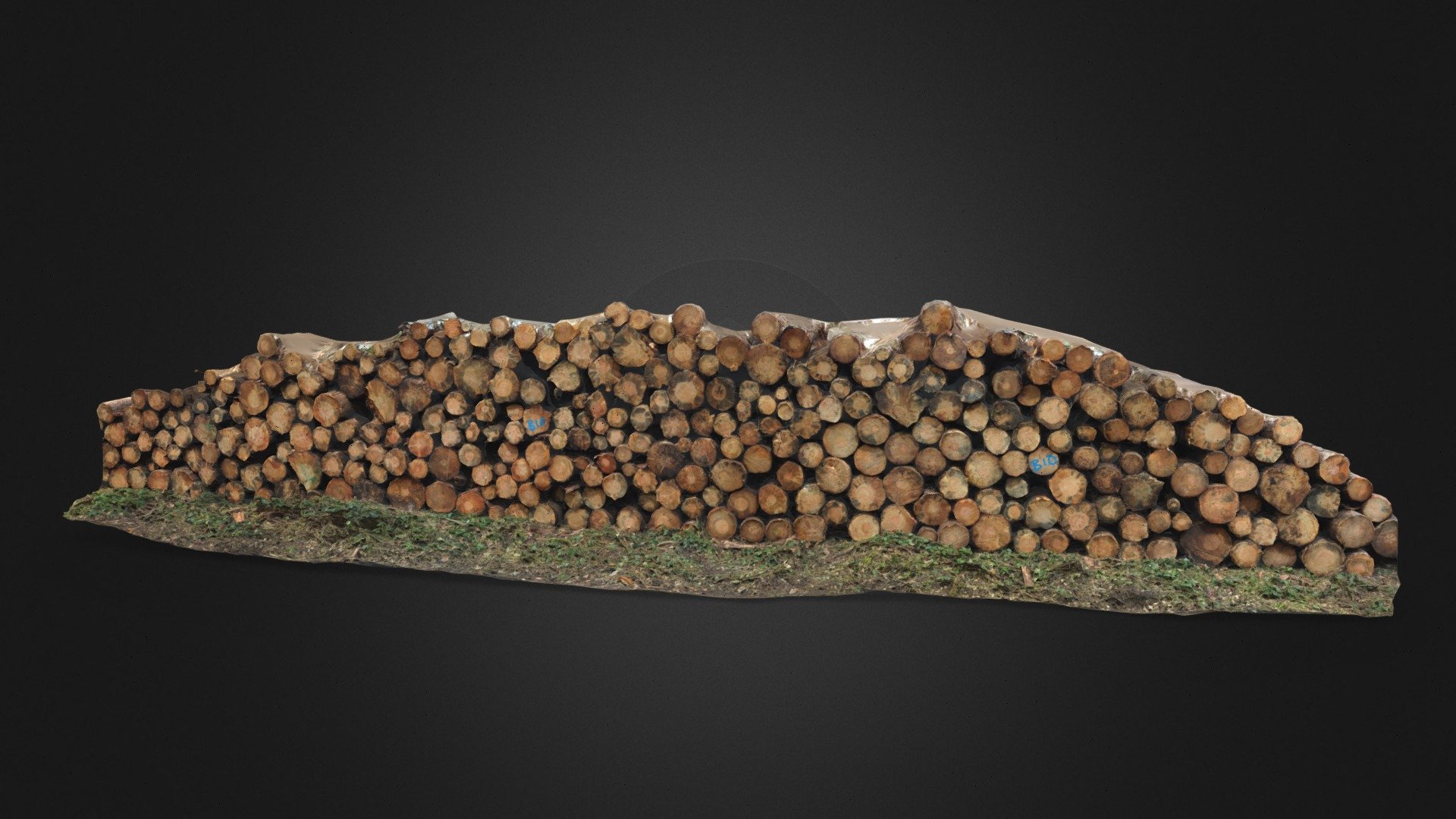 Timber Stack in a Forestry Plantation | England - Buy Royalty Free 3D ...