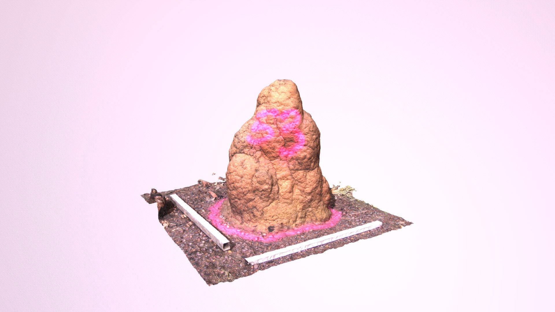 Termite mound Tp6-2016 - 3D model by pnauer [ff40edf] - Sketchfab