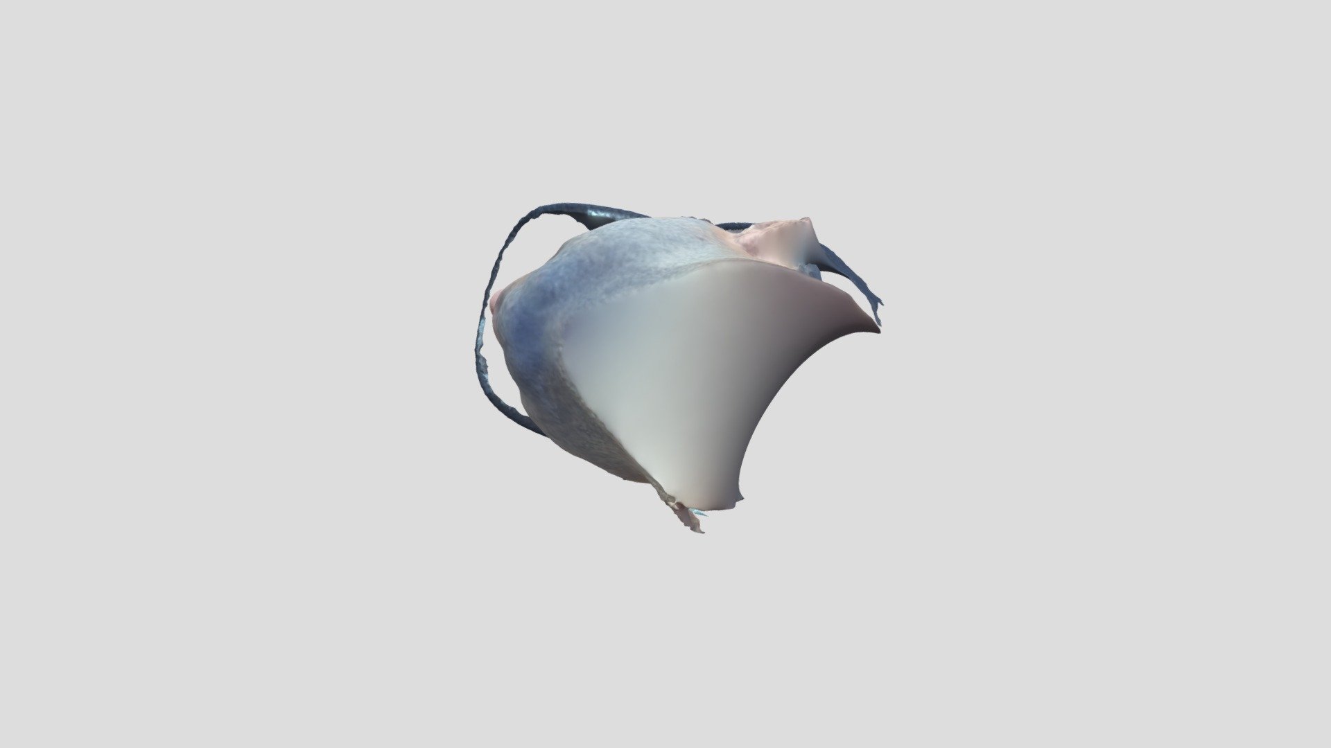 Danny Face Try 1 Download Free 3d Model By Danny Najera [ff4d2bc