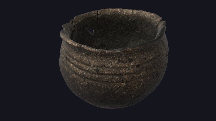 Rarity 3D models - Sketchfab