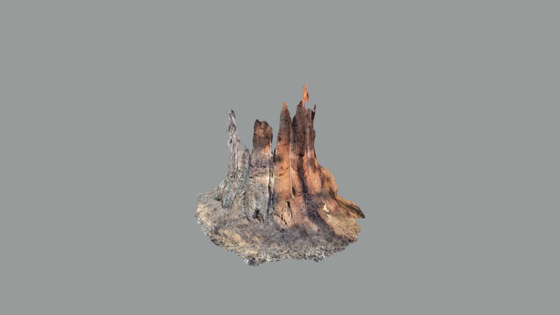 Sequoia - Download Free 3D model by _oleg_belov [ff55a04] - Sketchfab