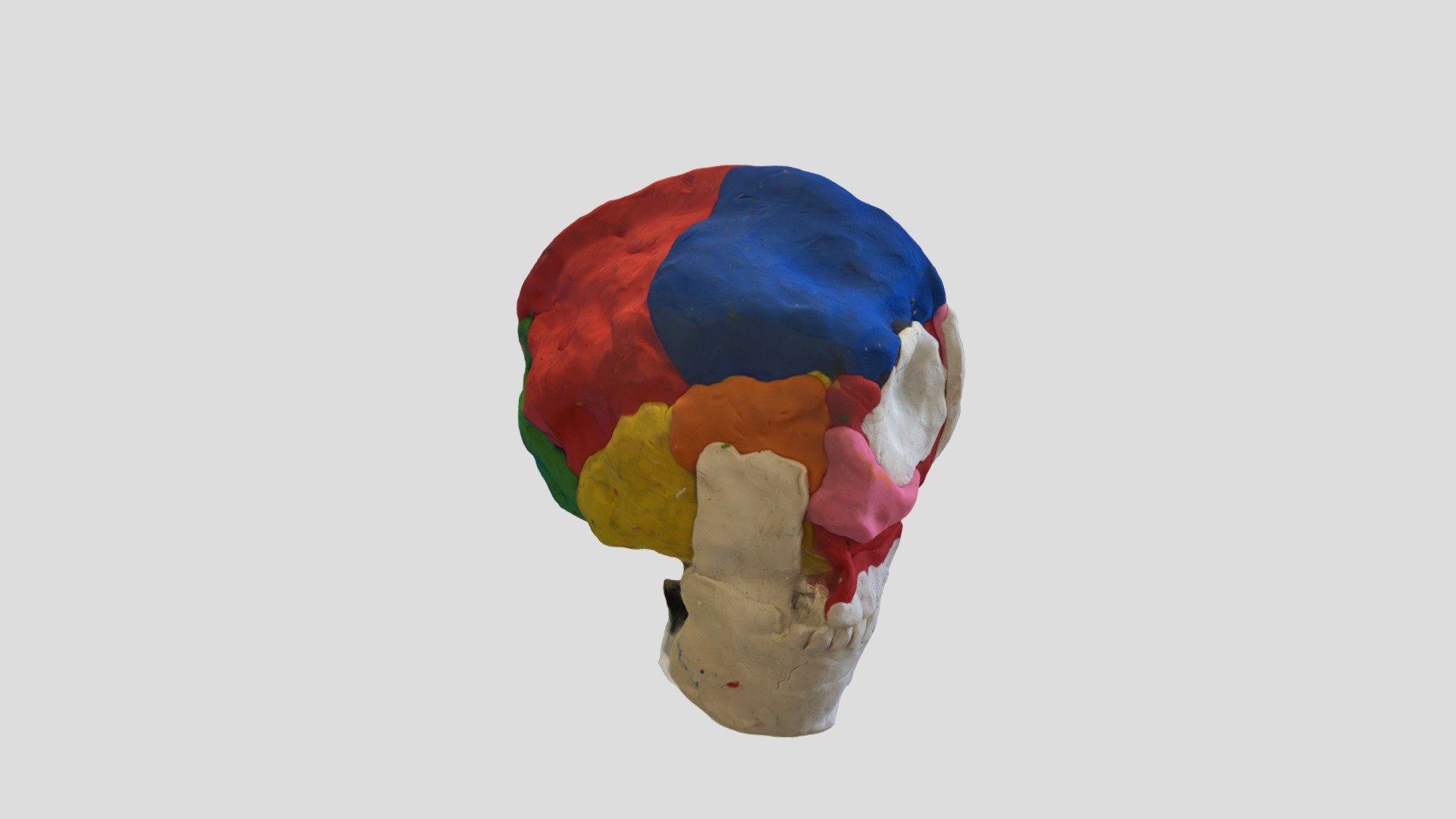Skullmodelj2 - 3D model by jmpg201 [ff5632e] - Sketchfab