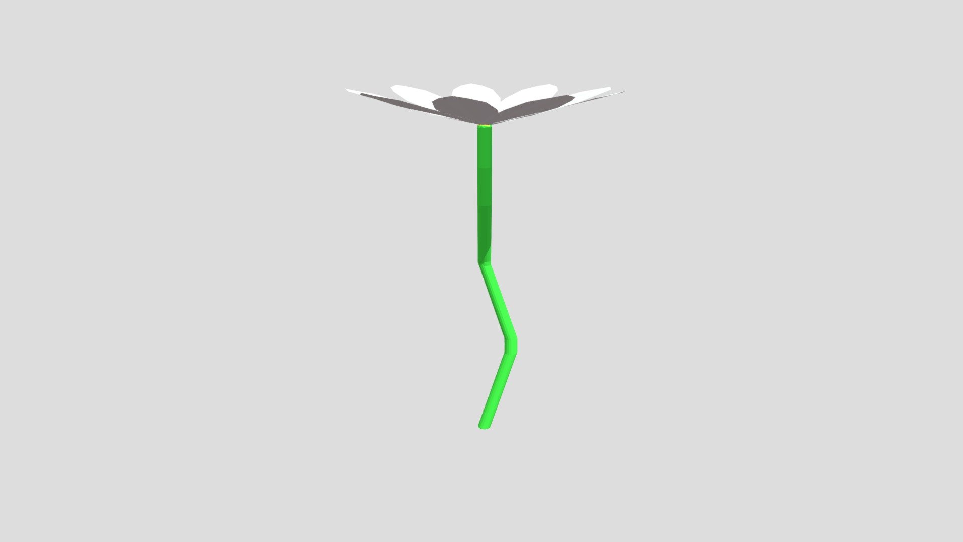 Fiore - Download Free 3D model by mc.ficcadenti [ff5c673] - Sketchfab
