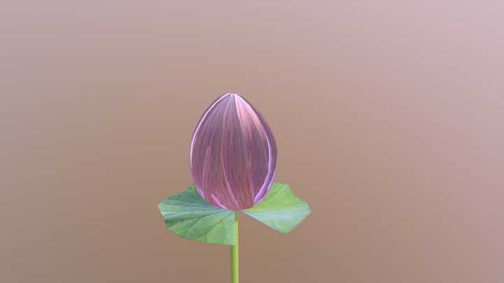 Elf-ears 3D models - Sketchfab