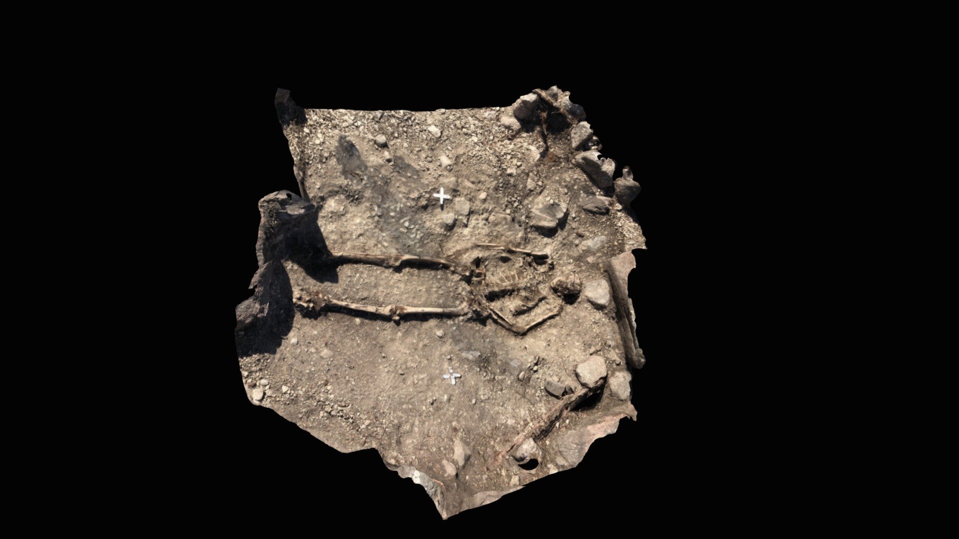 Eke 2019 Skeleton from Trench 2 - 3D model by Gotland Archaeological ...