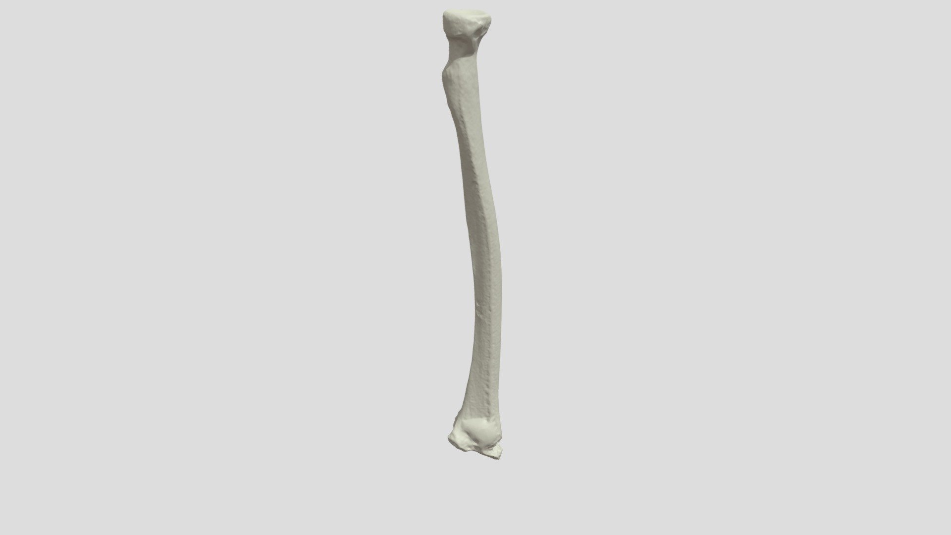 Radius - 3D model by LUIZSAIS (@LUIZSAISS) [ff74236] - Sketchfab