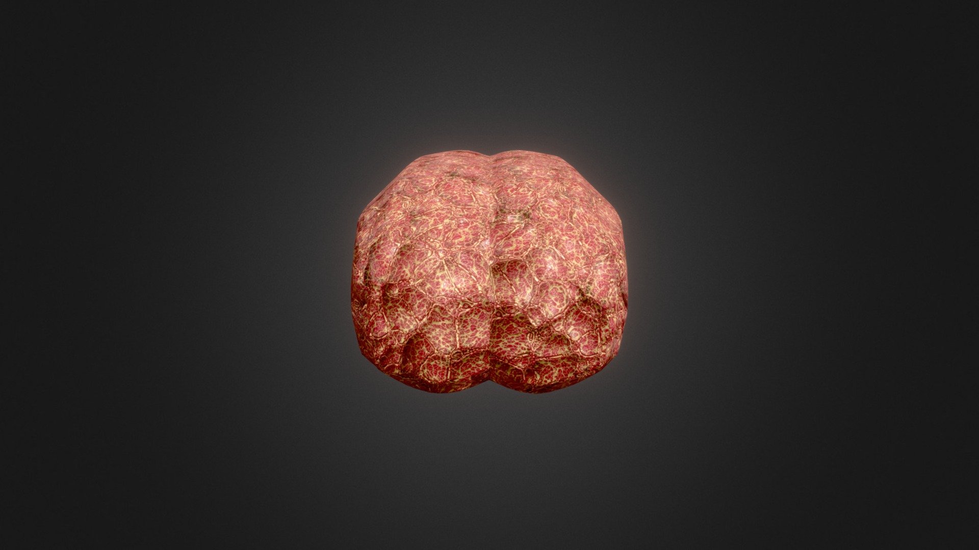 brain - 3D model by jesamabin [ff754d2] - Sketchfab