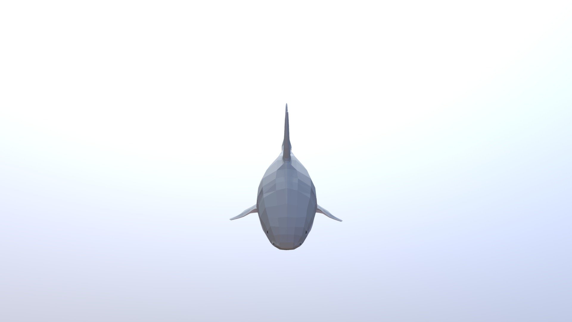 Shark Low - 3D model by Valeriati (@littledampire) [ff7af37] - Sketchfab