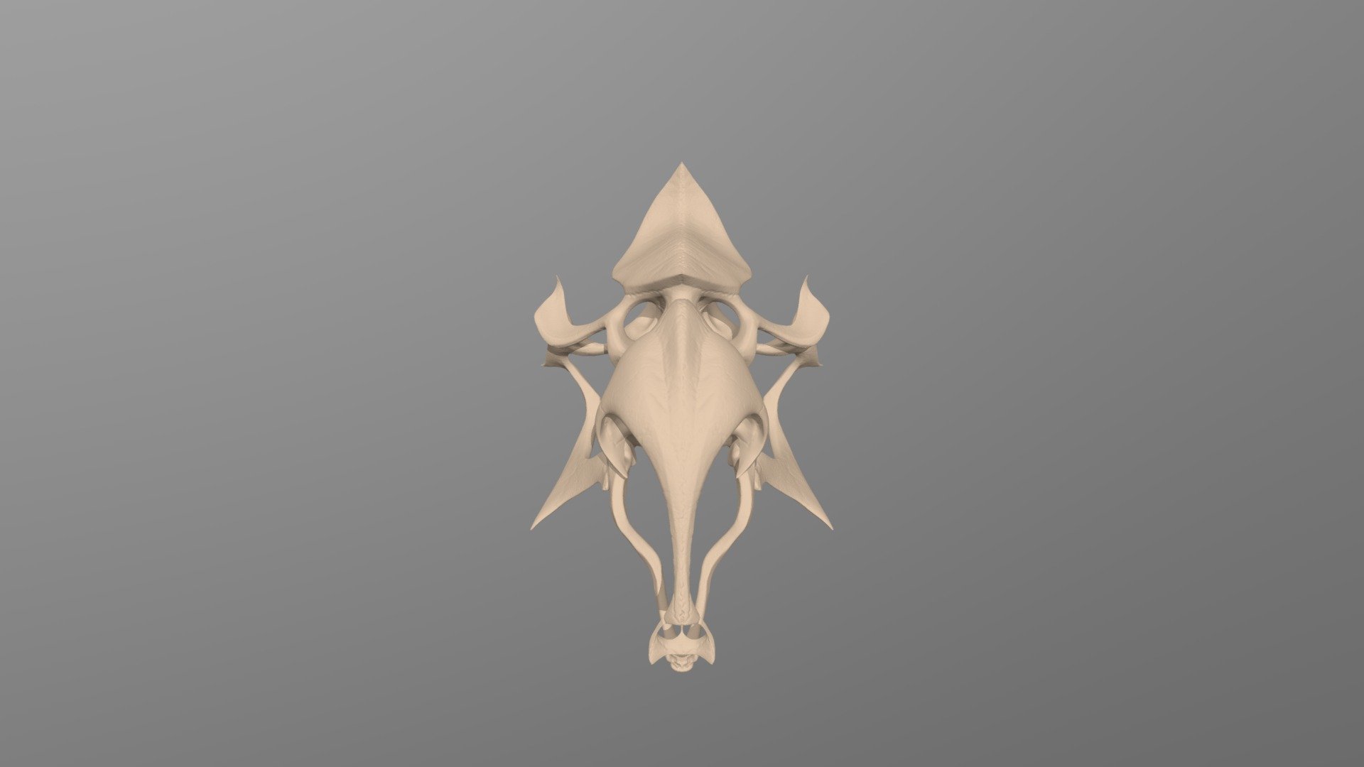 Alien Skull - 3D model by marymillicent96 [ff836b2] - Sketchfab