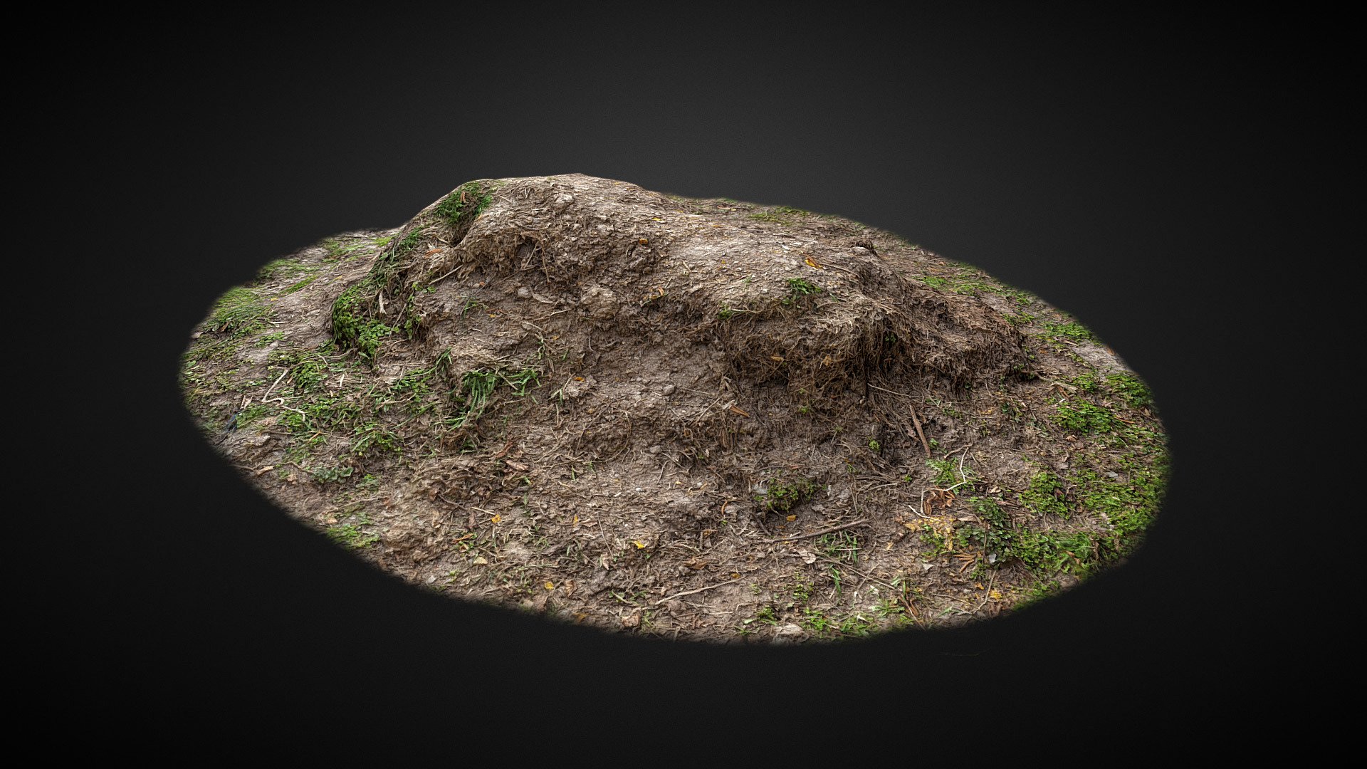 Pile of Compost 3D Scan - Retopo - Download Free 3D model by grafi ...