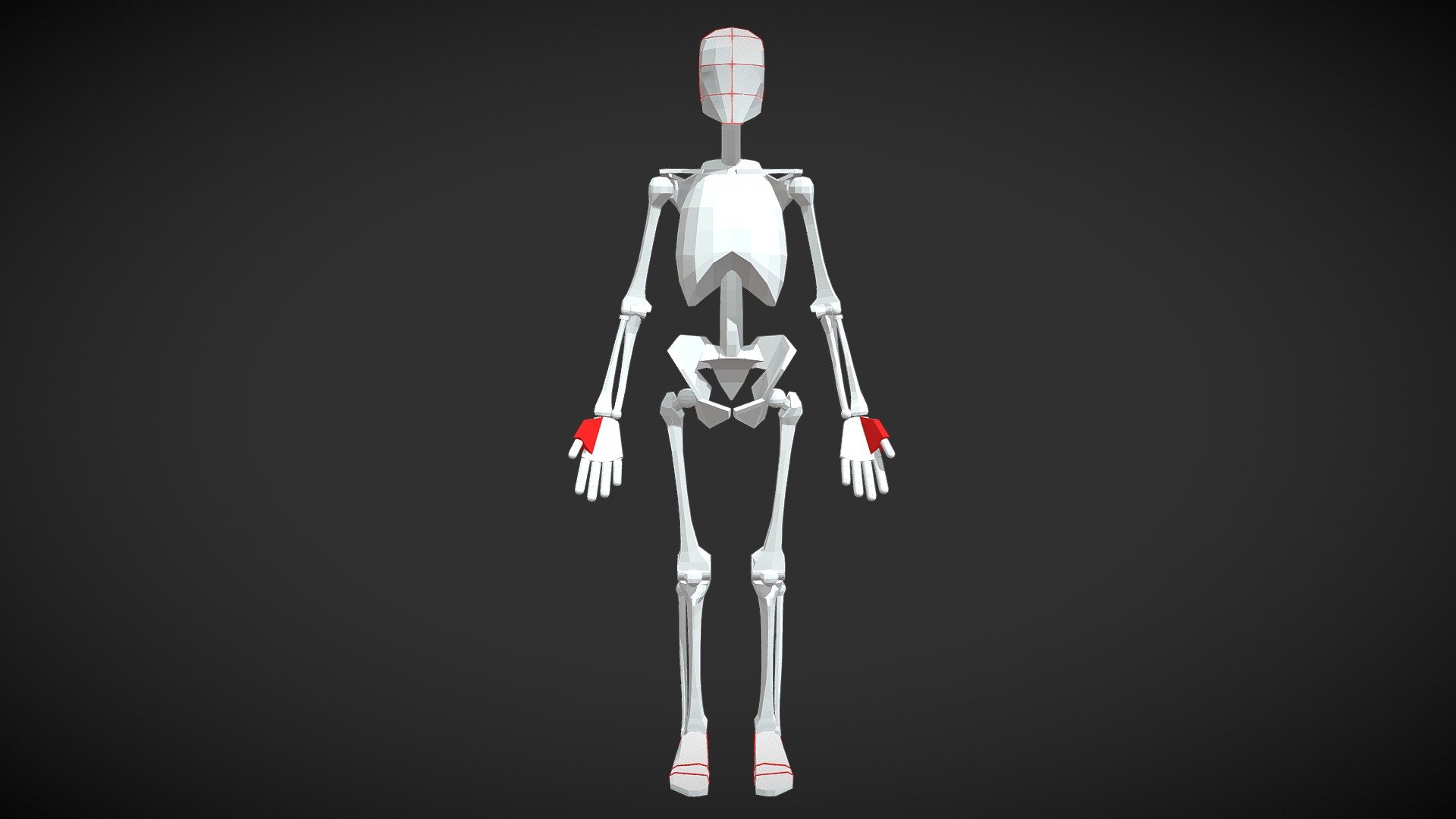 Female Skeleton For Artists - 3D model by chummy-island [ff87da5 ...