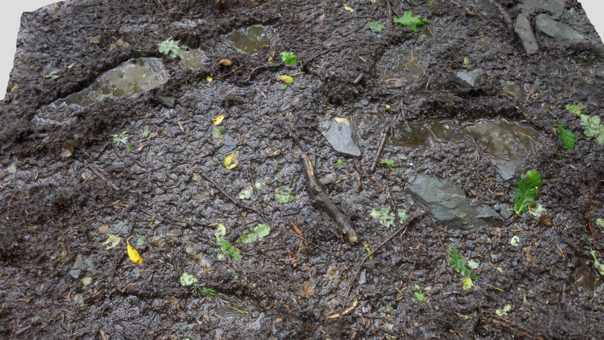 Mud Surface Scan - Download Free 3D model by CommonSpence [ff8daa4 ...
