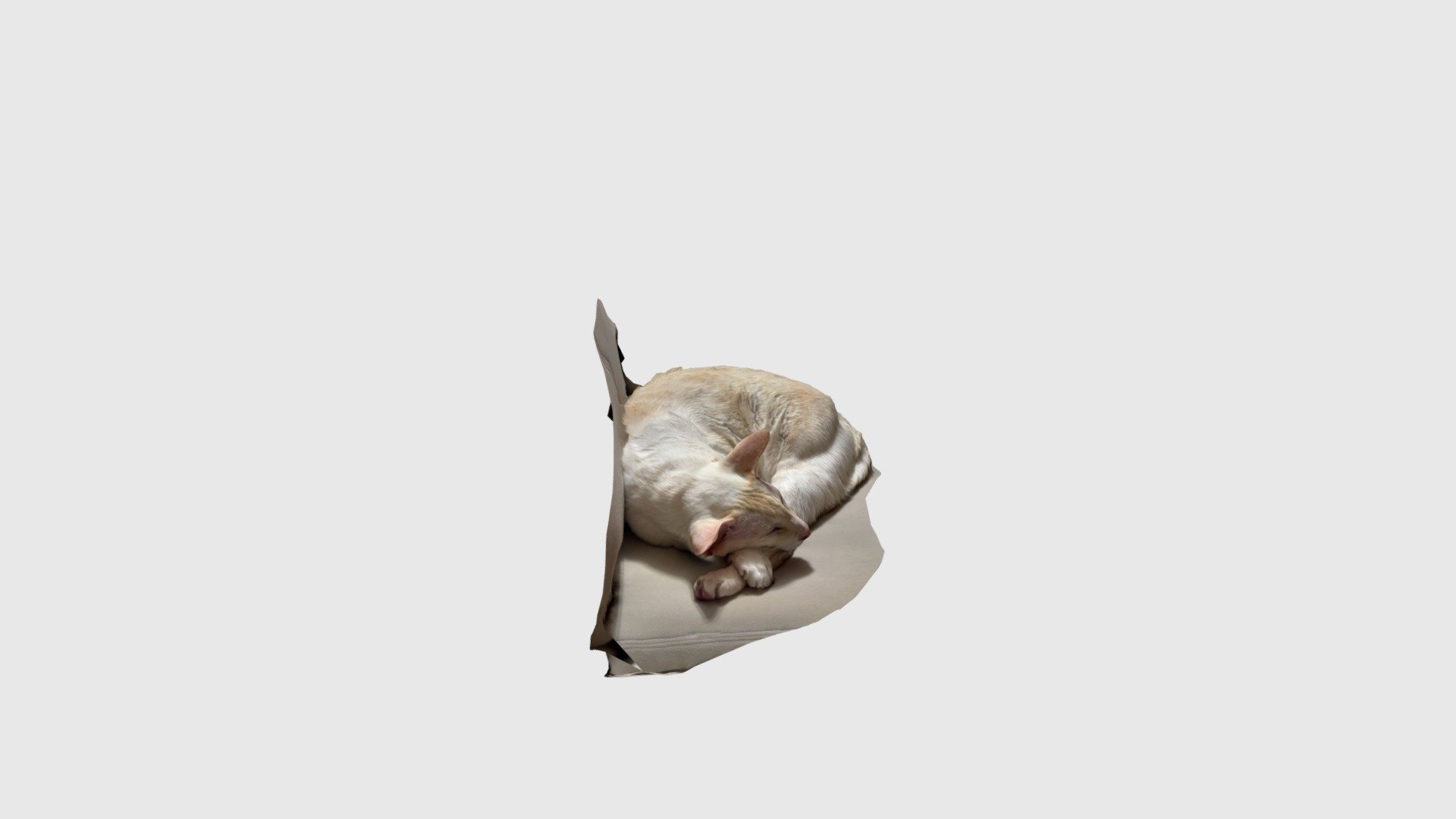 Nolan Ray Mohito - Download Free 3D model by avrroot [ff8dc2c] - Sketchfab