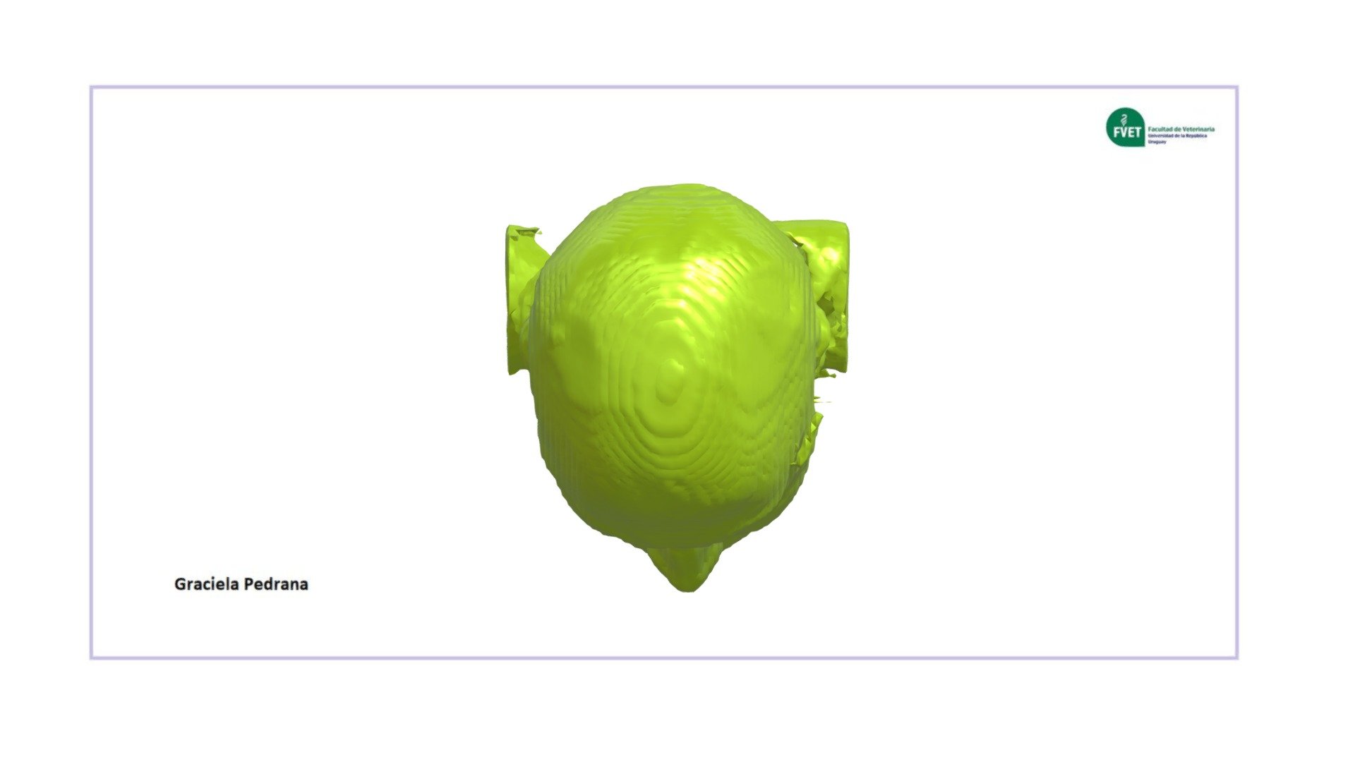 HEAD-OBJ - Download Free 3D model by gpedrana [ff8e2d4] - Sketchfab