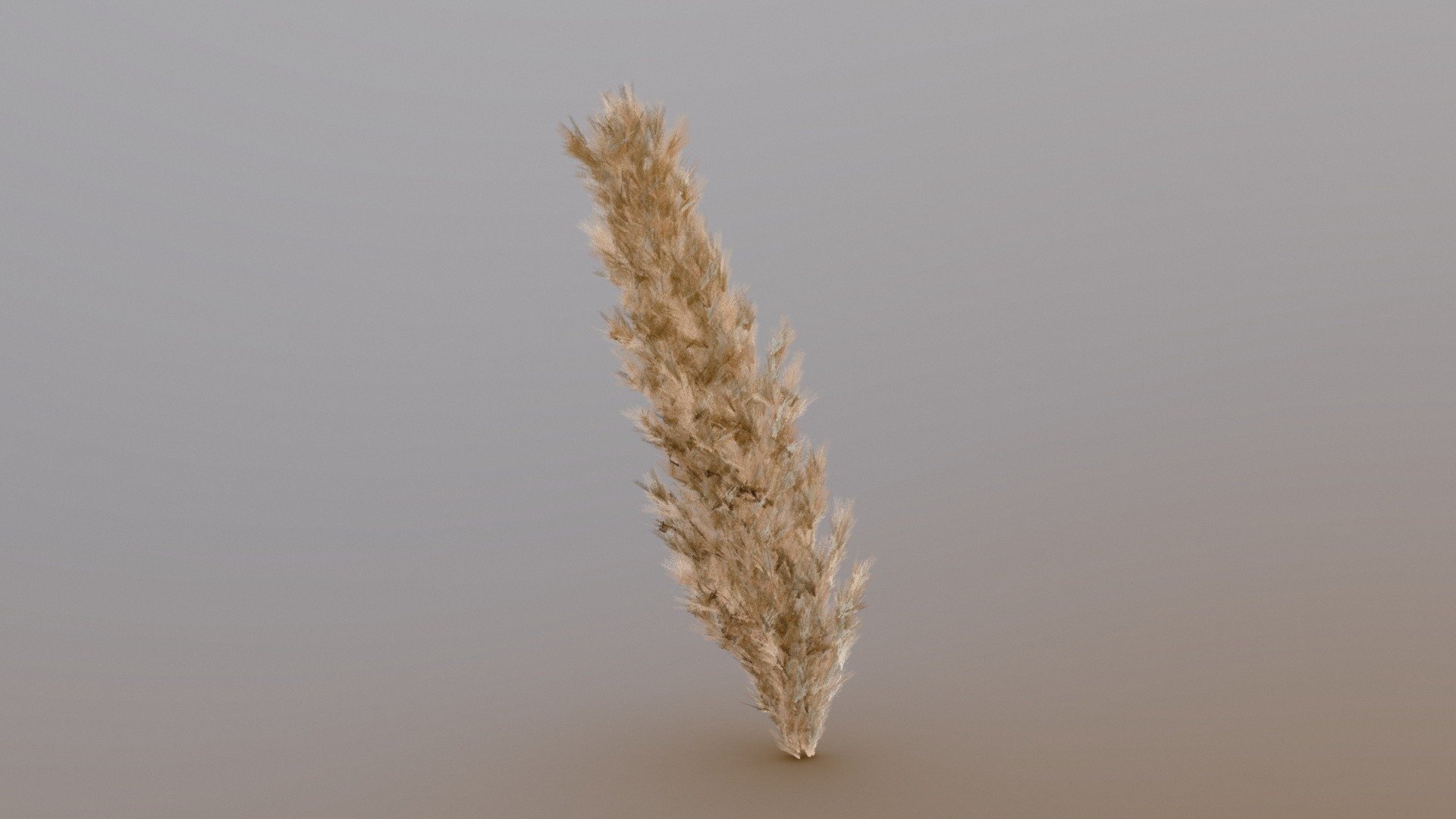Branch of a Dry Flower - Download Free 3D model by Ren Viro Store ...