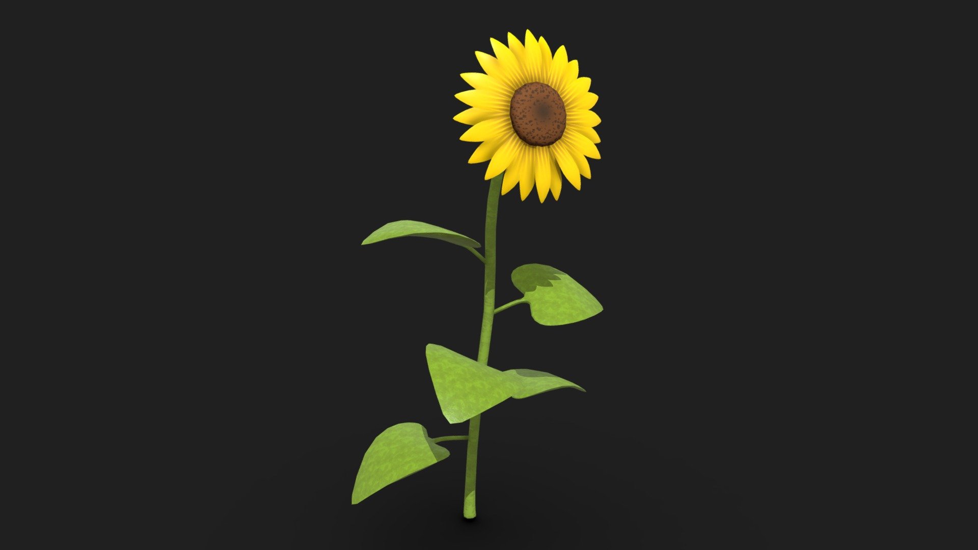 Sunflower - Buy Royalty Free 3D model by Yorus01 [ff933c6] - Sketchfab ...
