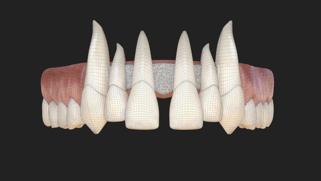 teeth _ 02 - 3D model by CriisMora [ff9f543] - Sketchfab