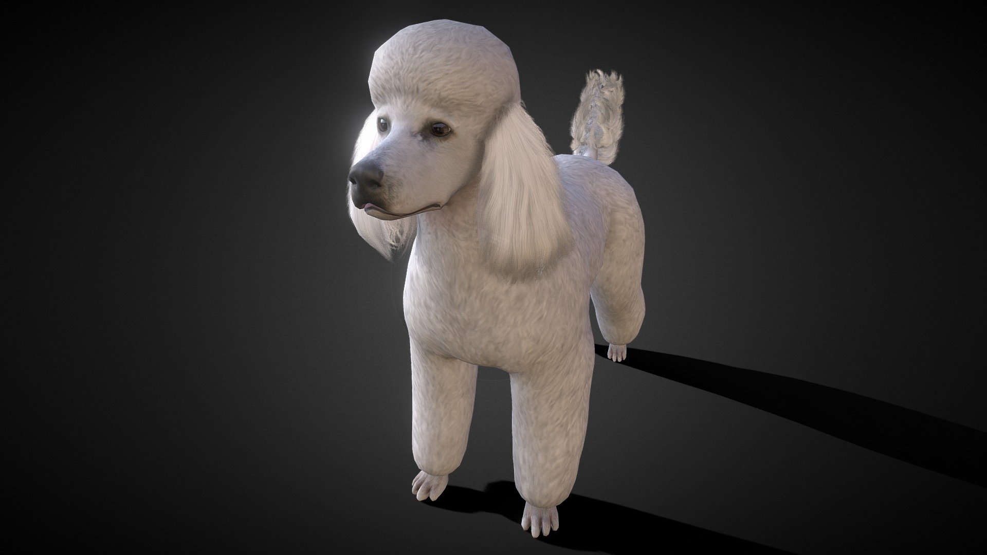 Poodle Dog Big - Buy Royalty Free 3D model by animod [ffa39ef ...