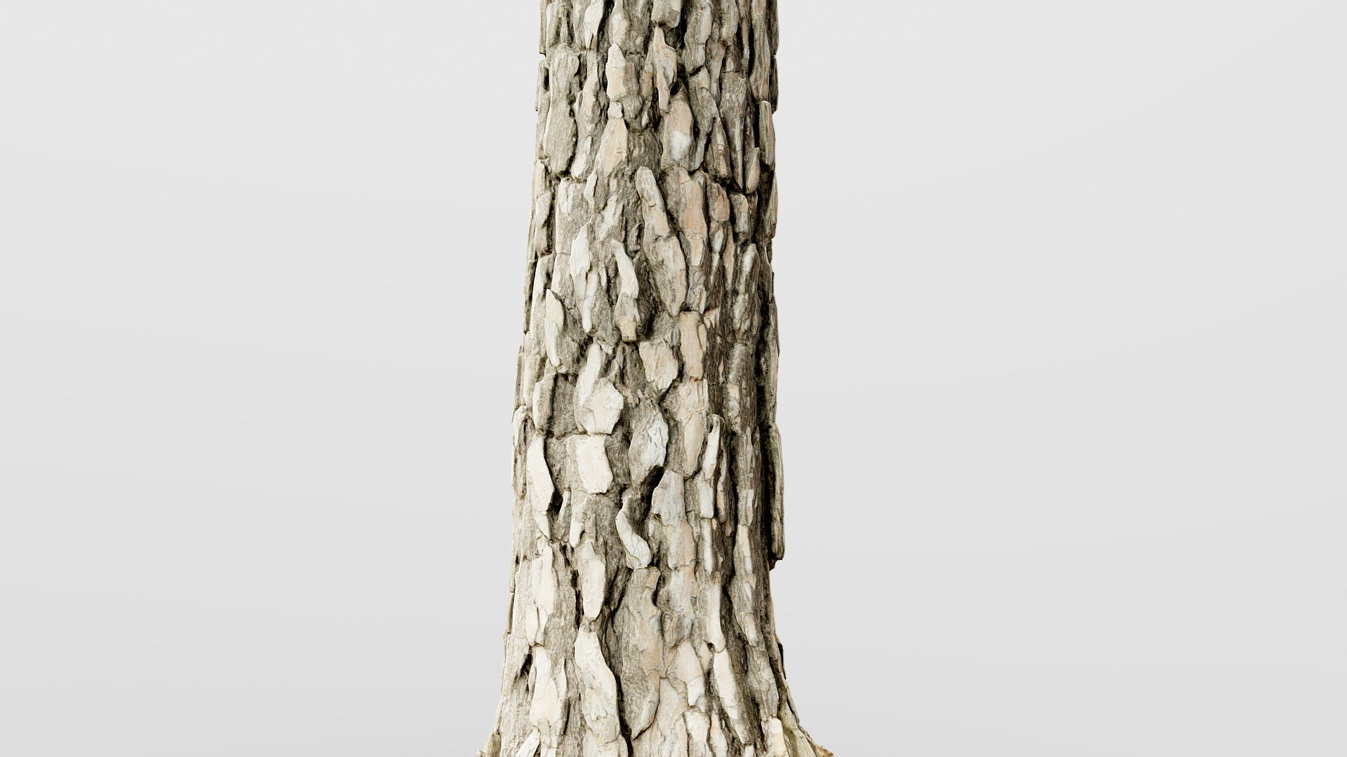 Pine Tree Trunk - Buy Royalty Free 3D model by Drakery [ffad504 ...