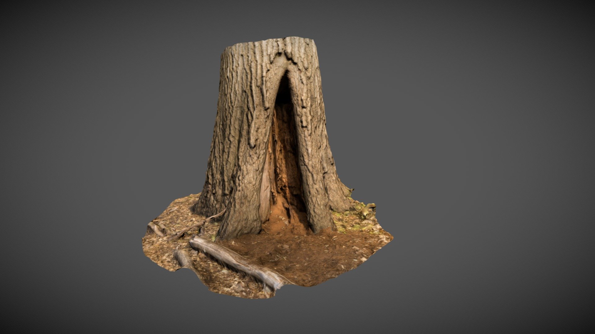 Bottom Half of the Tree - 3D model by Erica (@erica5) [ffb2656] - Sketchfab
