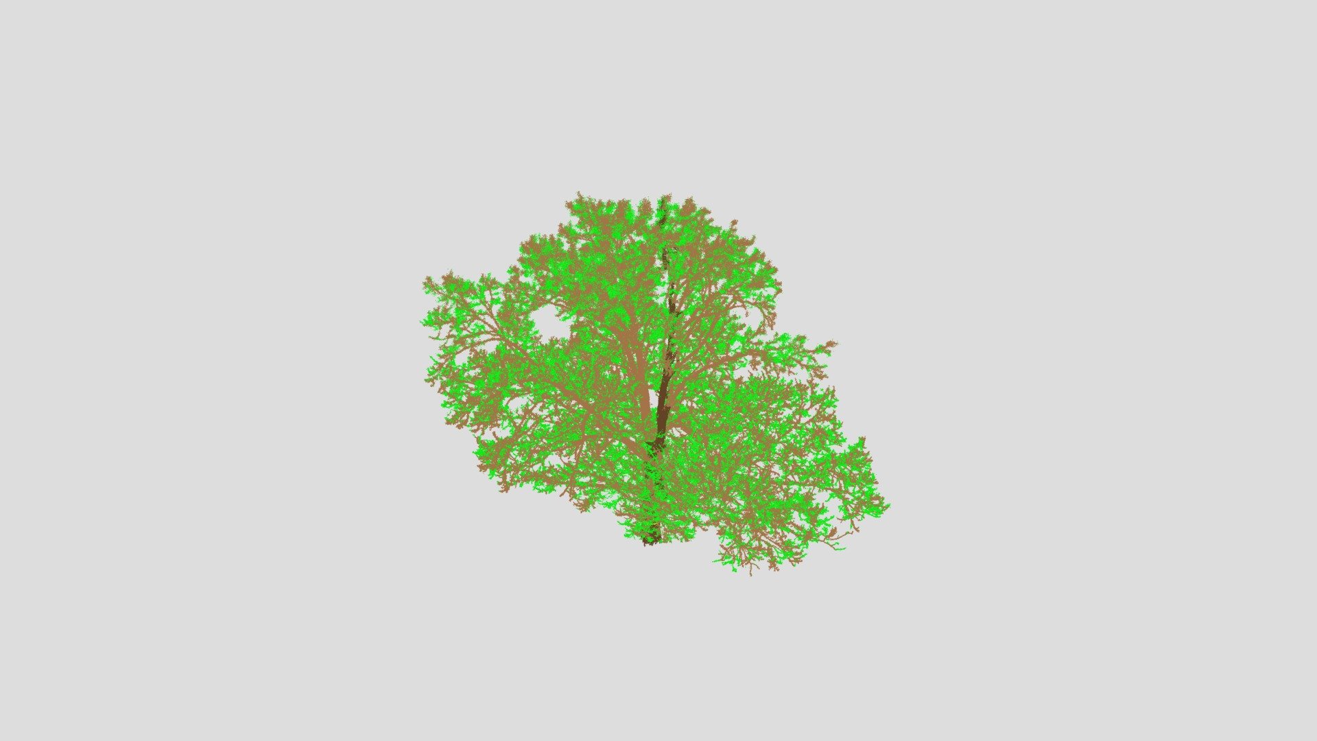 Tree 0012 - 3D model by forestdesign [ffb3572] - Sketchfab
