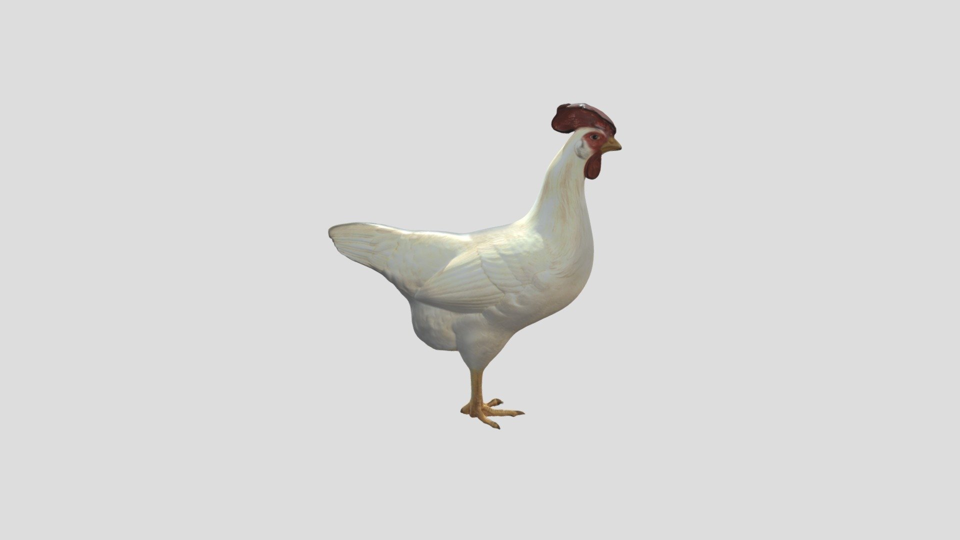 Gallina 3d Model By Multimediauned Ffb82f2 Sketchfab