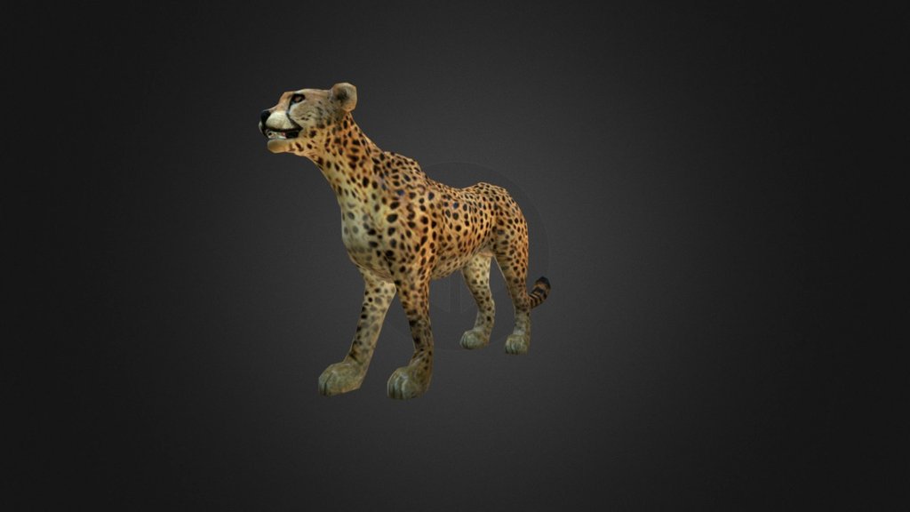 Cheetah Low Poly Game Animal - 3D model by NuttyApps (@t.k) [ffbbb2e ...